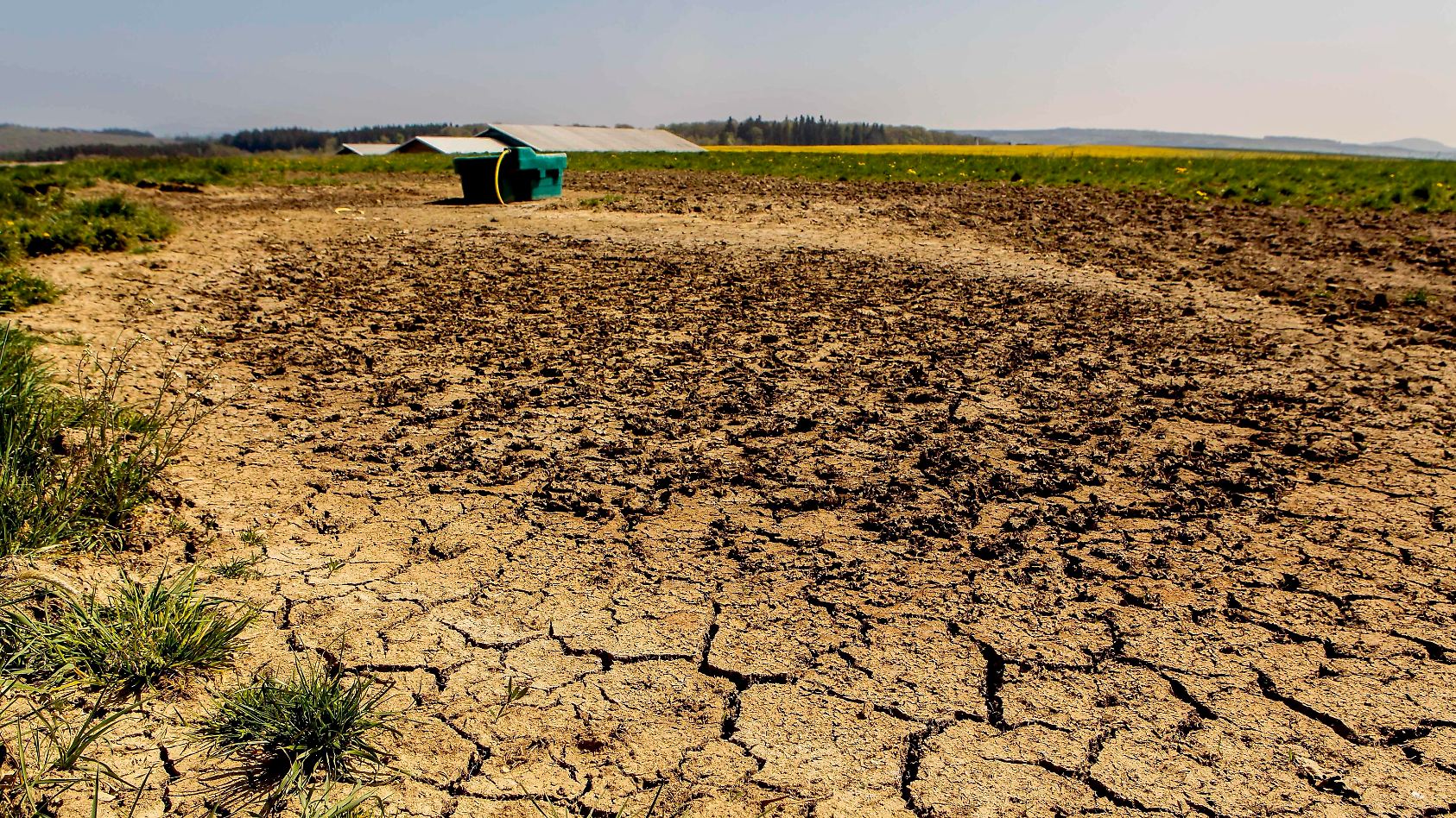 Prognose Sommer 2023: Trend Juli & August in Deutschland - aktuelle ...