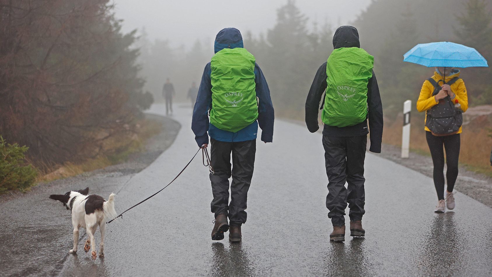 Unwetter und Starkregen - Gewitter beenden jetzt letztes Aufbäumen des ...