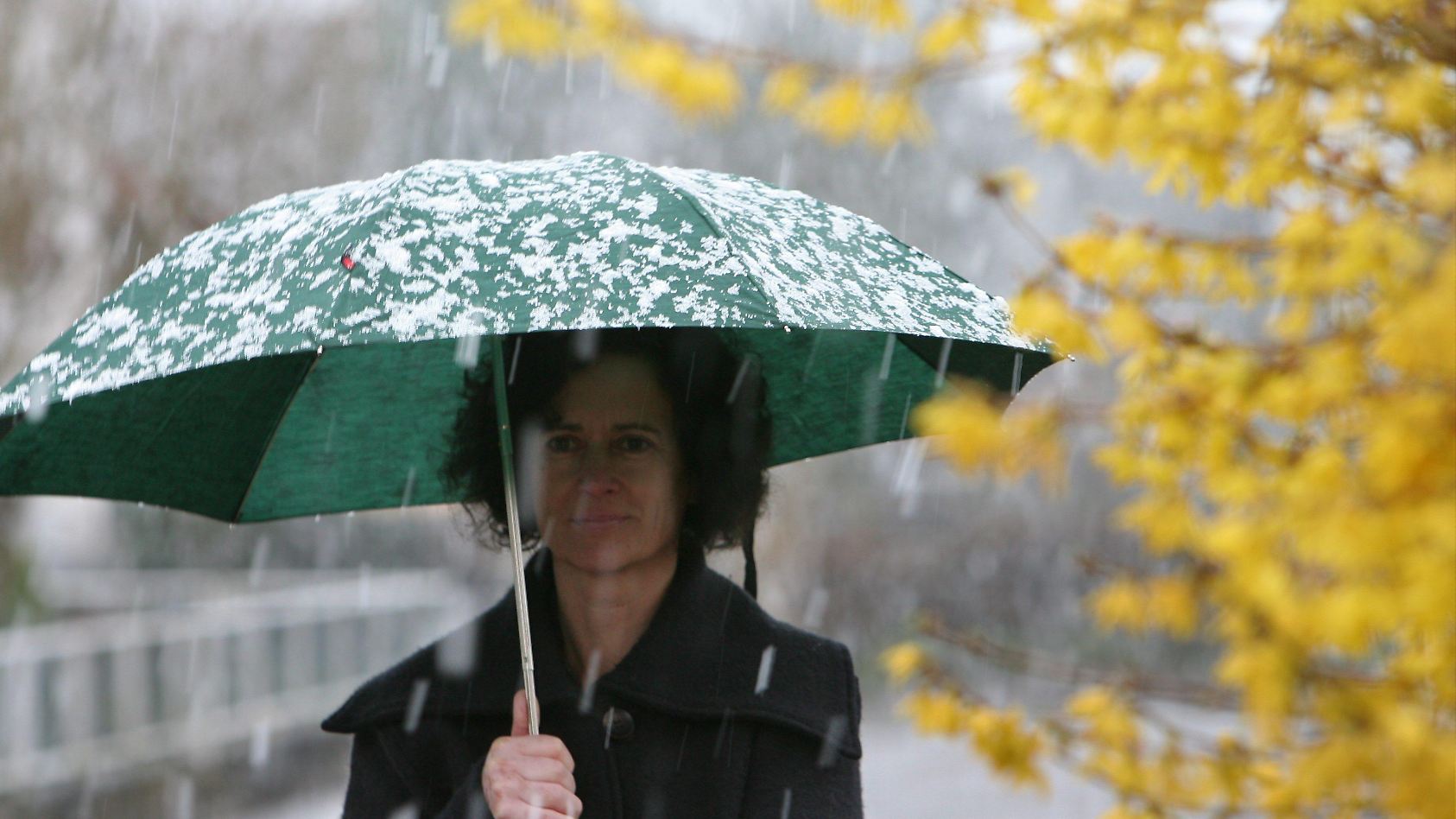 Wetter am Wochenende mit Frost, Schnee, Glätte, Regen, Sturm und Wärme ...