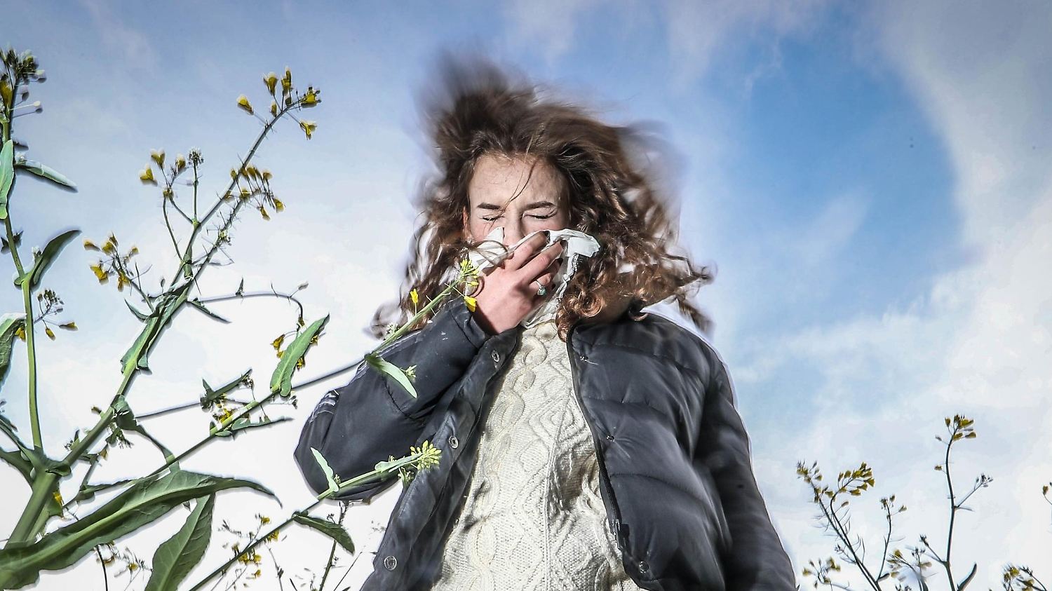 Pollenflug in Berlin heute | wetter.de