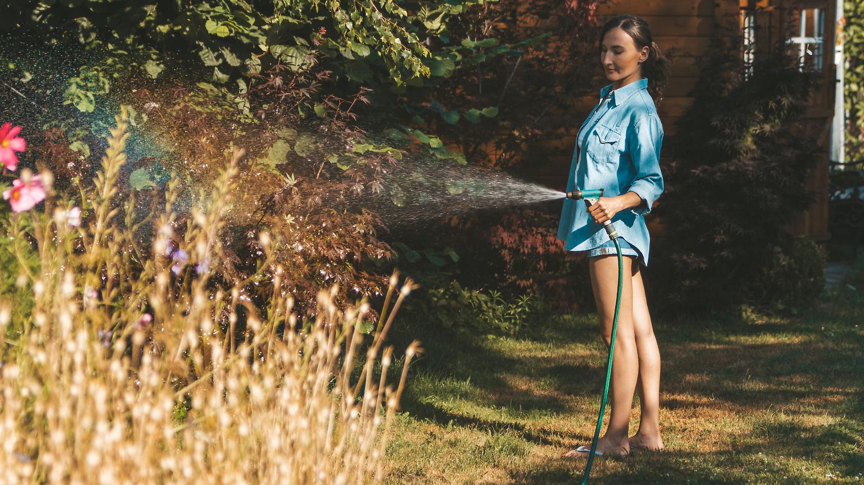 Dürre und Trockenheit im Garten: Rasen gießen und mähen - oder lieber warten auf den nächsten ...