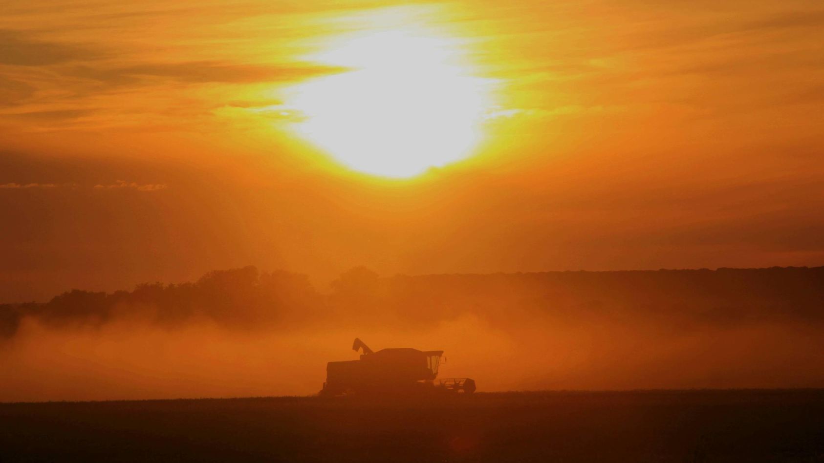 Hitze und Unwetter in Deutschland: Vom Sonnenschein und fast 40 Grad zu Gewittern mit ...