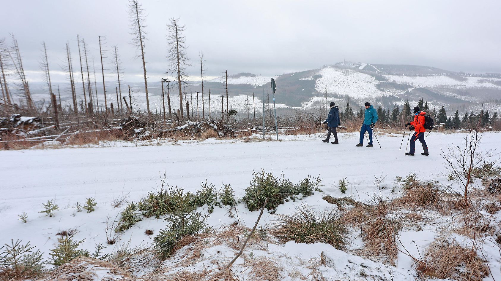 Winter 2023/24 in Deutschland: Kalter November, eisiger Dezember - aktuelle Trends und Prognosen ...