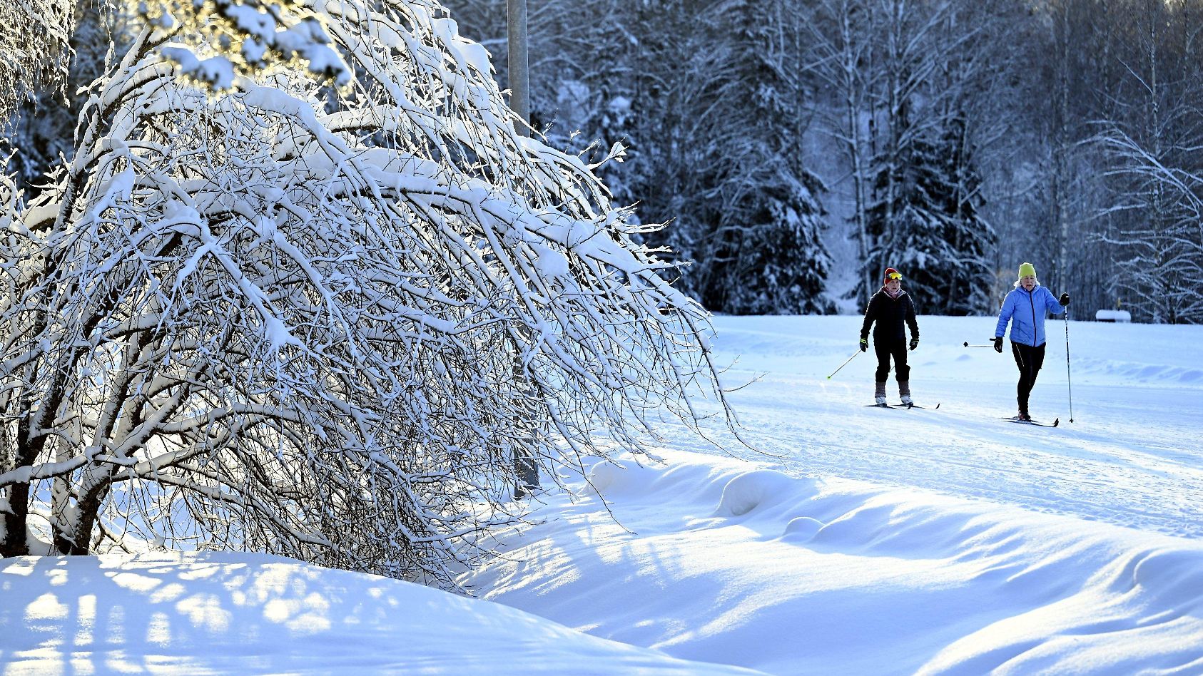 Winter-Comeback im Januar: Es wird deutlich kühler - Kälte und Schnee ...