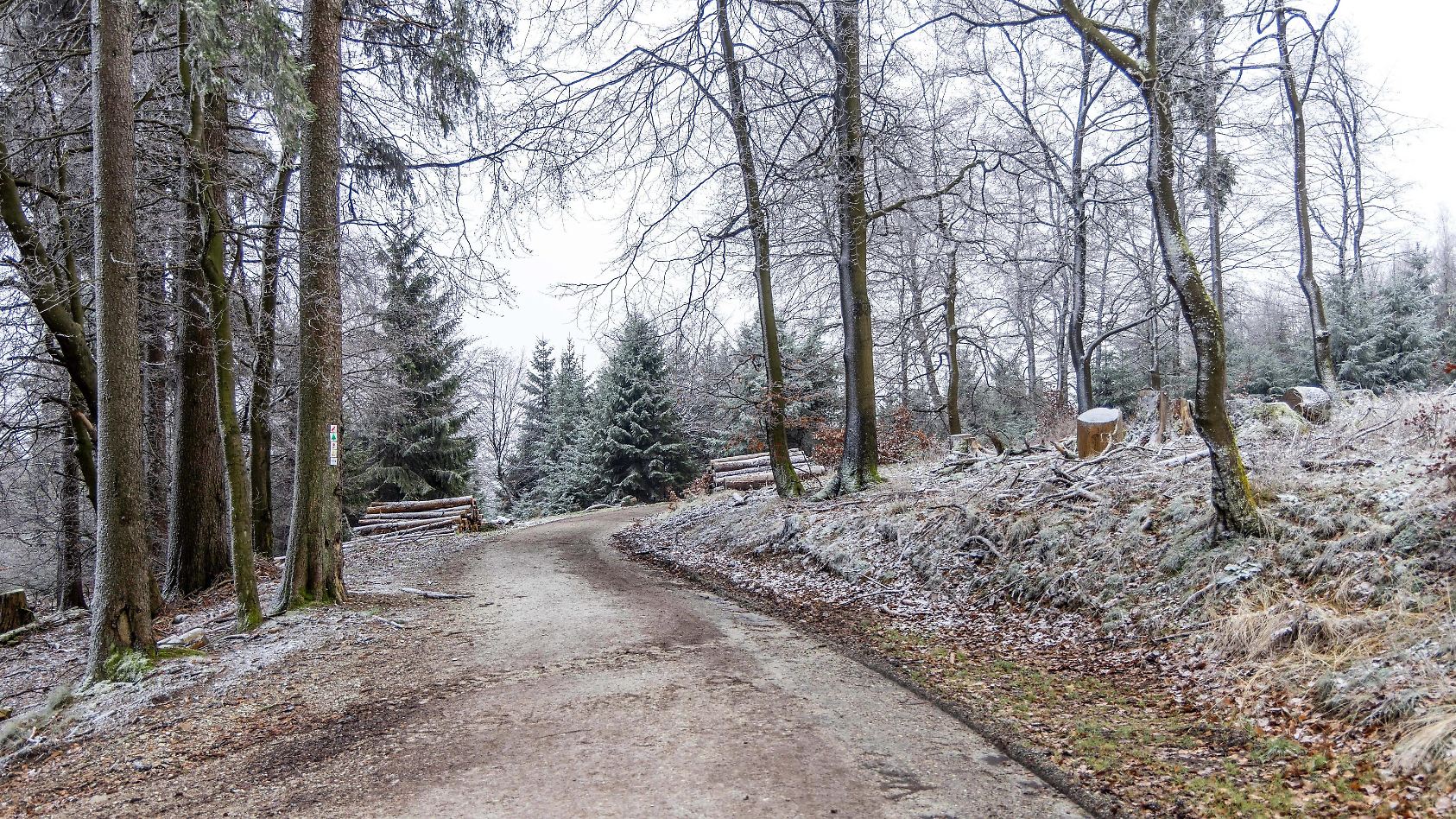 Prognose zeigt Winter für Deutschland: Nach Sturm Wencke bringt das Wetter Schnee und Frost ...