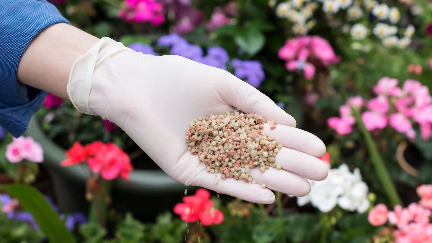 Pollenflug in Deutschland heute | wetter.de