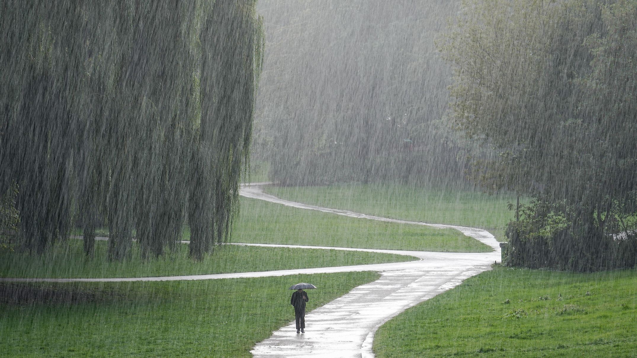 Phänomen Regengeruch: Wieso kann man Regen riechen? | wetter.de