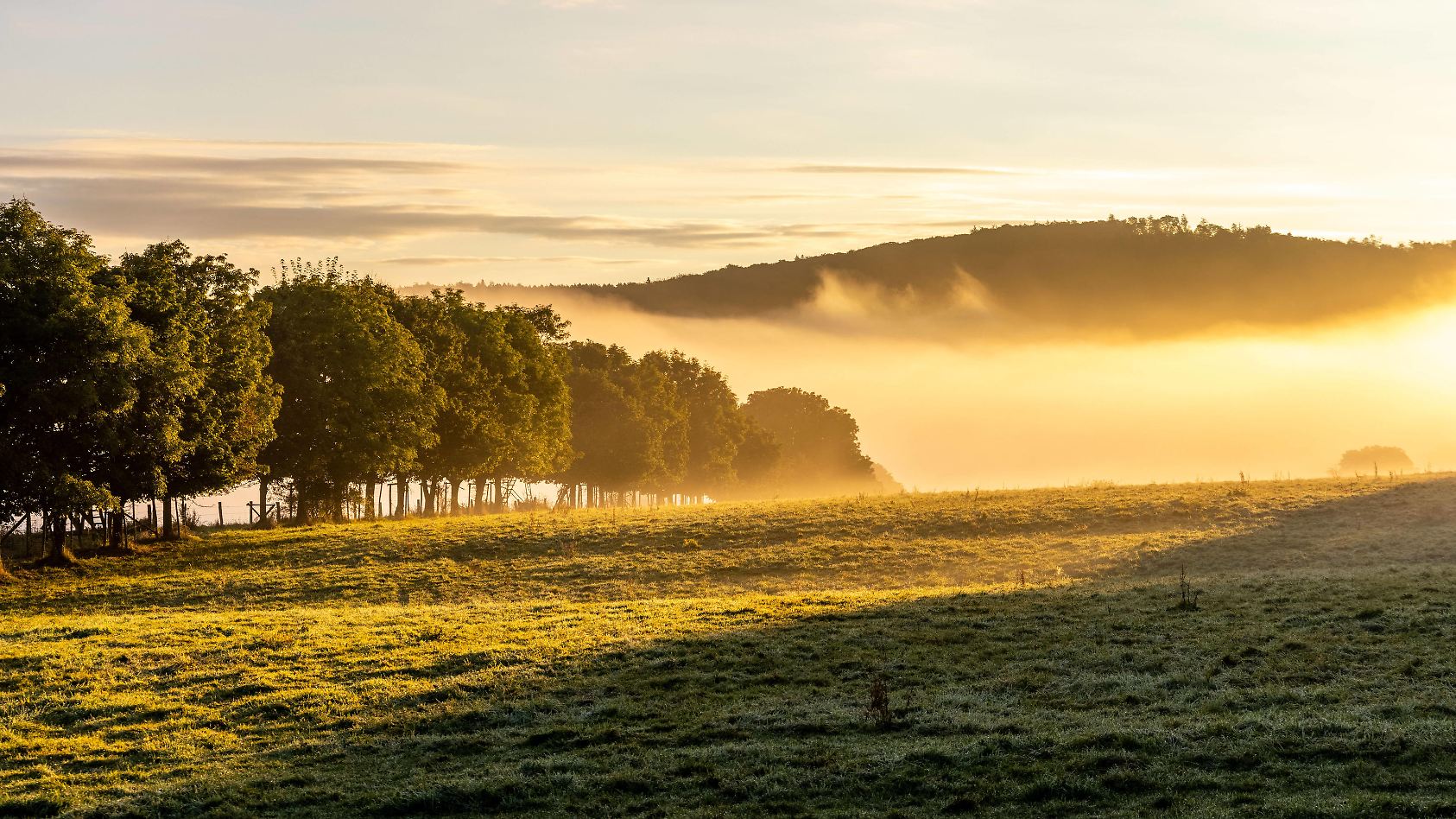 Wetter und Wetterthemen am 06.09.2024: Herbst-Hinweis wird von heißer Spätsommer-Sonne einfach ...