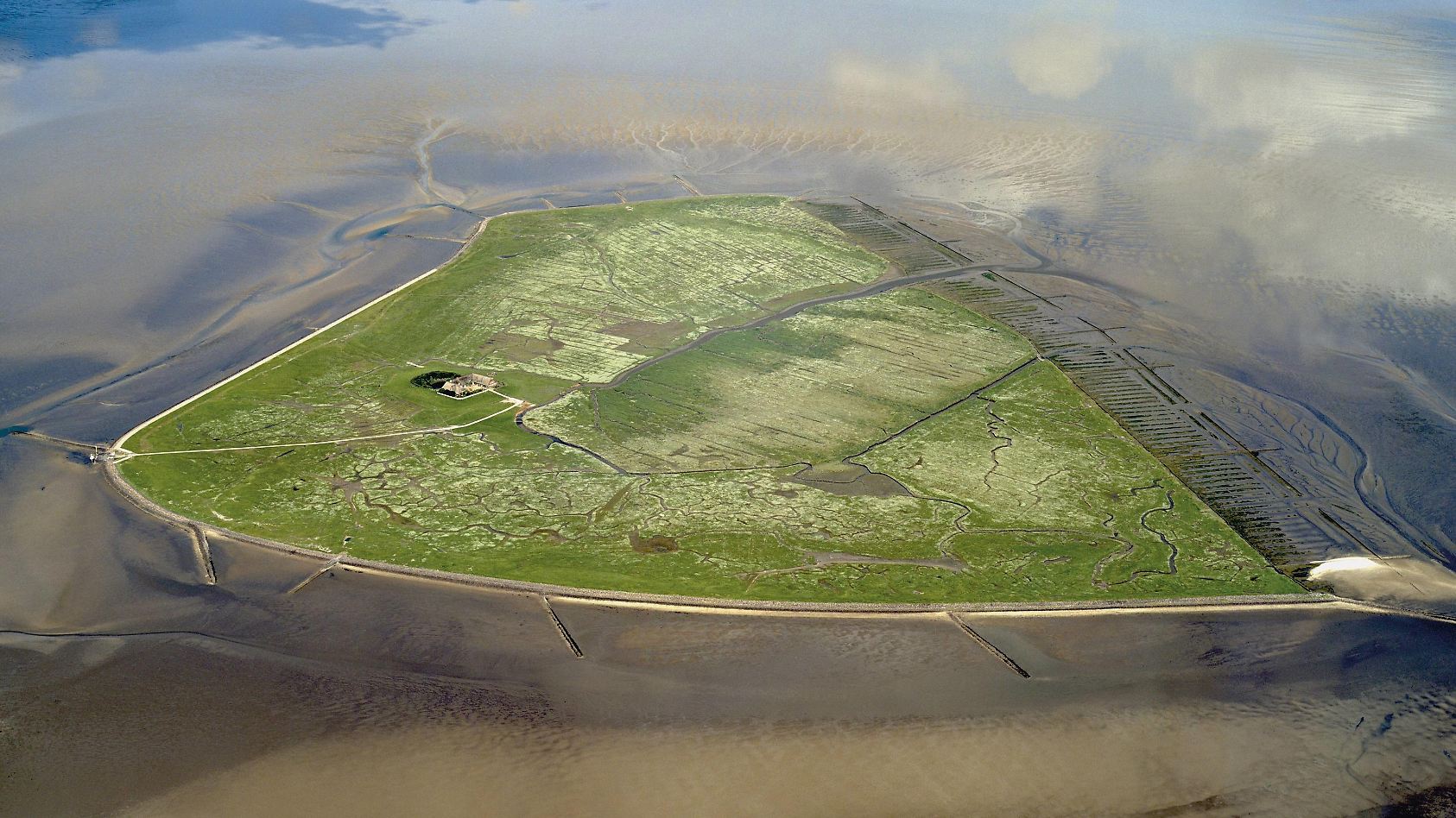 Existiert Rungholt? Archäologen finden in der untergegangenen Stadt im ...