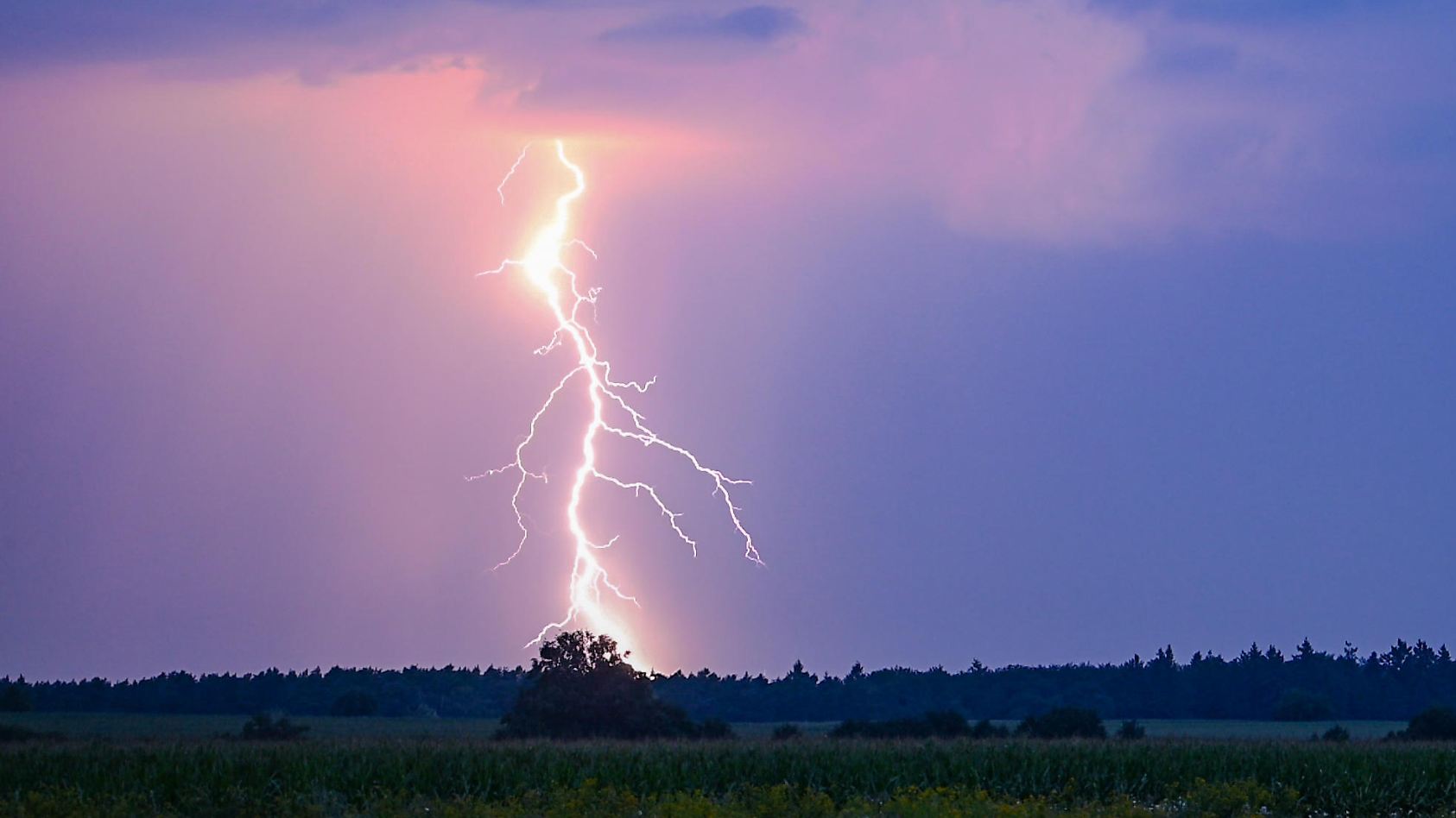 Wetter und Wetterthemen am 03.08.2024: Mehr Blitz und Donner - Unwetter ...