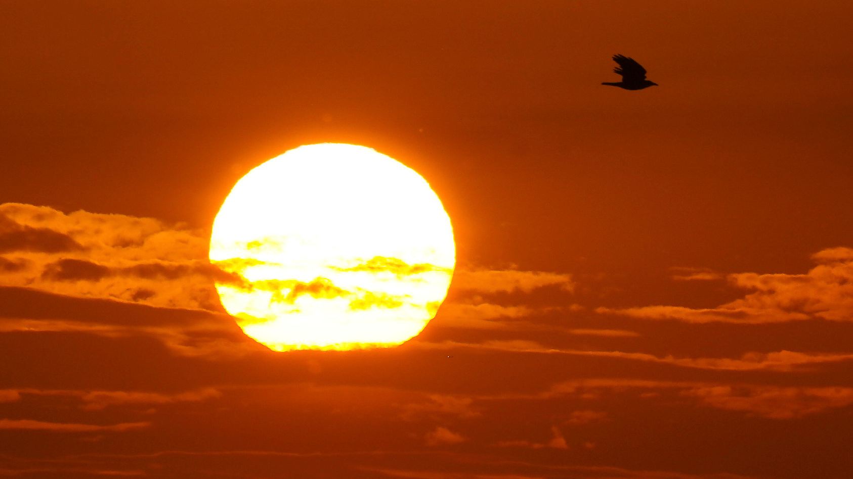Wetter und Wetterthemen am 17.10.2024: Im Westen könnte etwas Regen fallen, ansonsten wird die ...