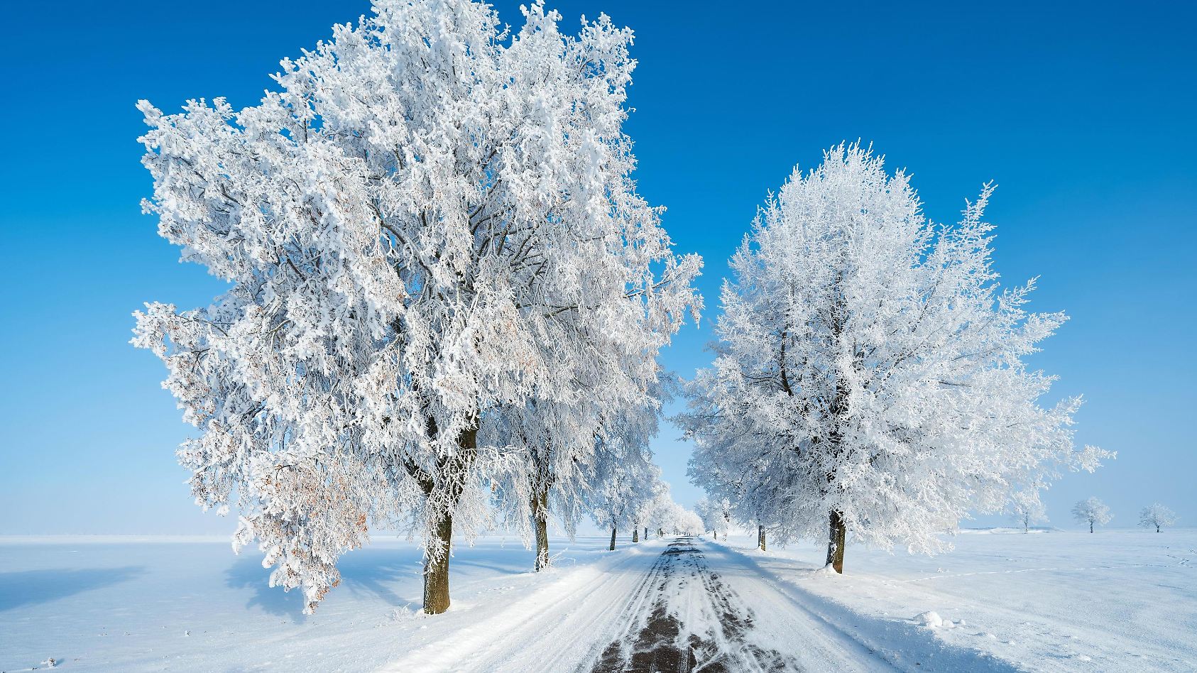 Winter 2024/2025 in Deutschland: Prognosen mit eisigem Dezember-Trend ...