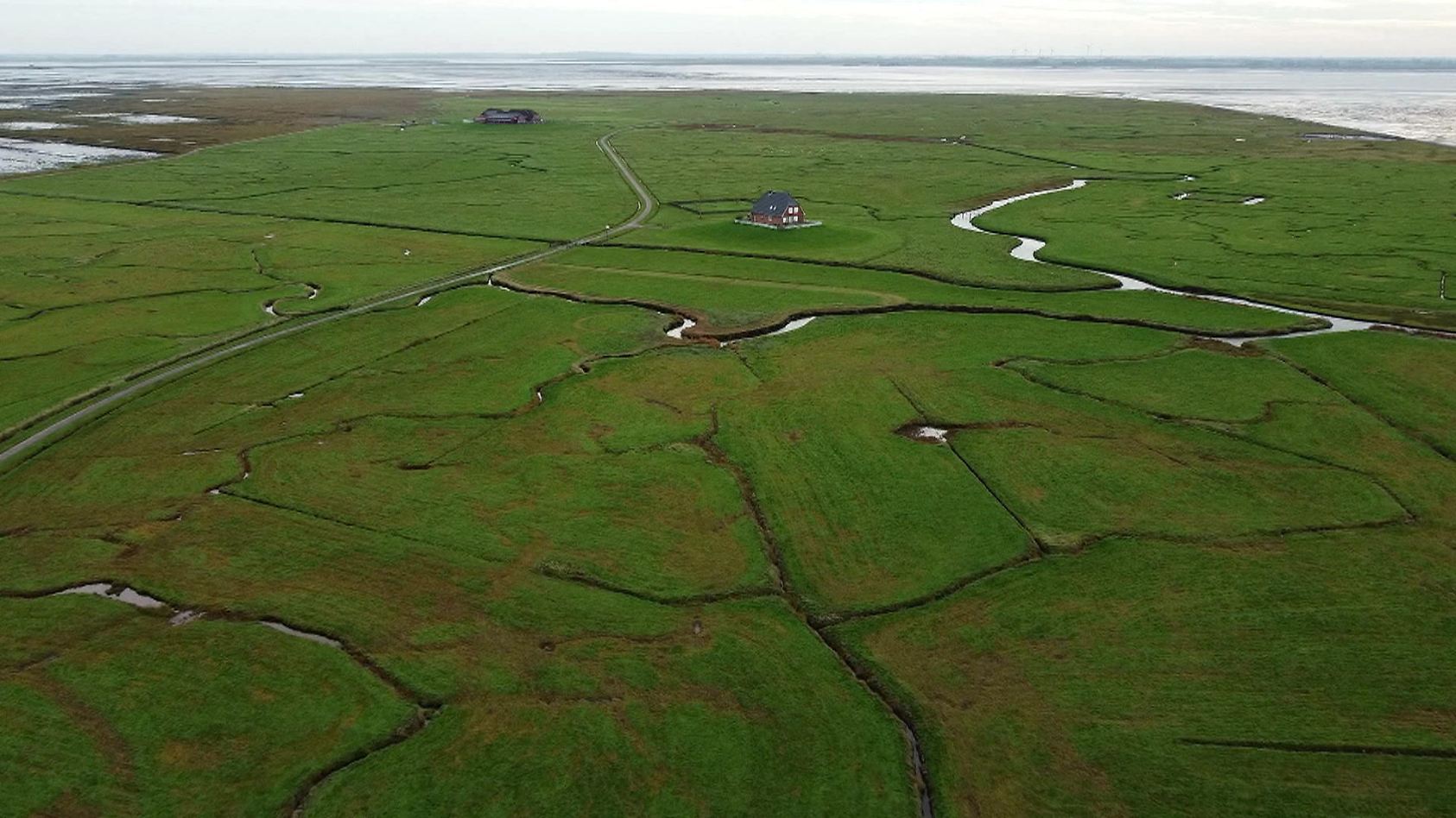 Halligen in der Nordsee sind in Gefahr! Rettet diese simple Idee sie ...