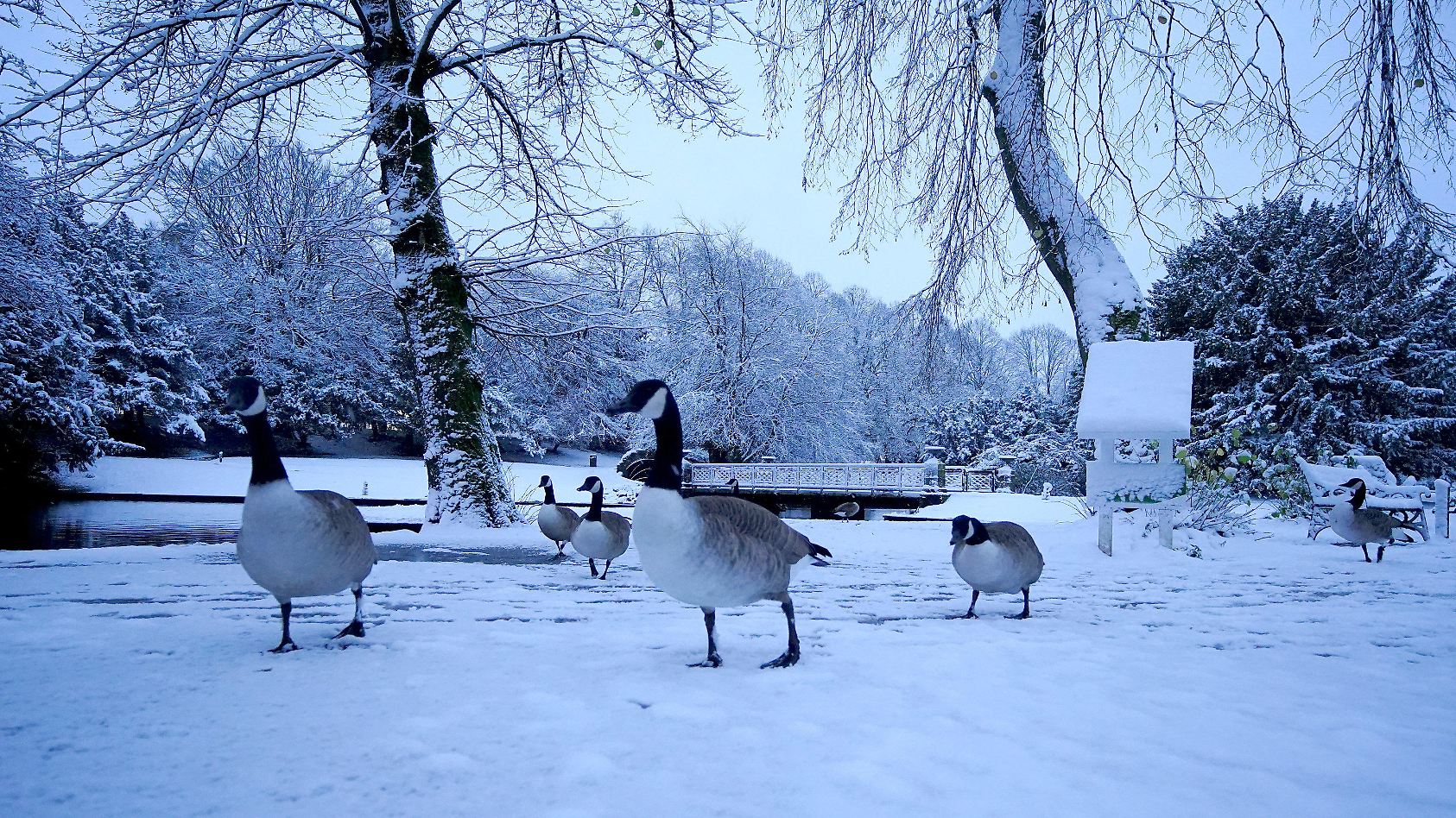 Winter 2025 in Deutschland : Aktuelle Prognosen und Trends für Januar und Februar | wetter.de