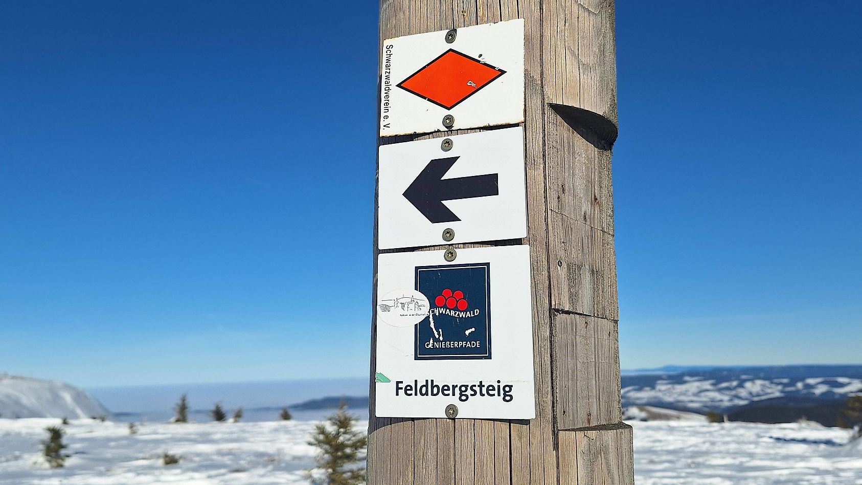 Frühling 2025 lässt den Winter massiv schwitzen - droht Deutschland ein neuer Rekord-Februar ...