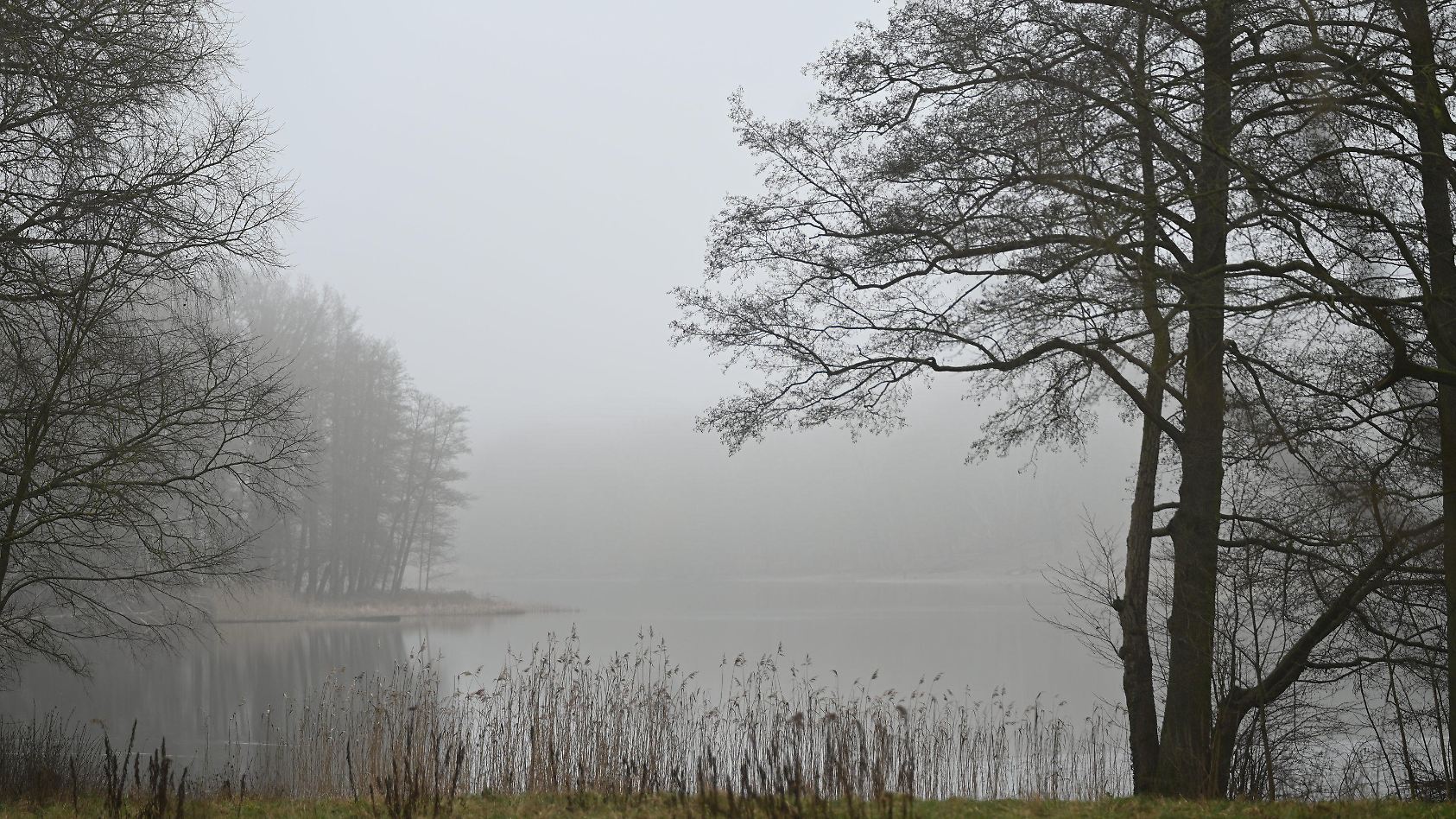 Wetter und Wetterthemen am 19. Januar: Auch am Montag kämpft der Nebel gegen die Sonne | wetter.de