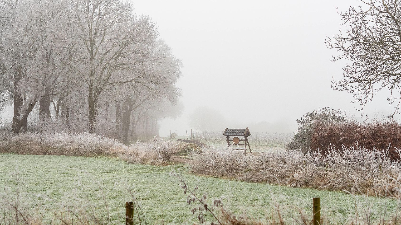 Wetter und Wetterthemen am 14. Februar: Schneeschauer, Frost und Nebel ...