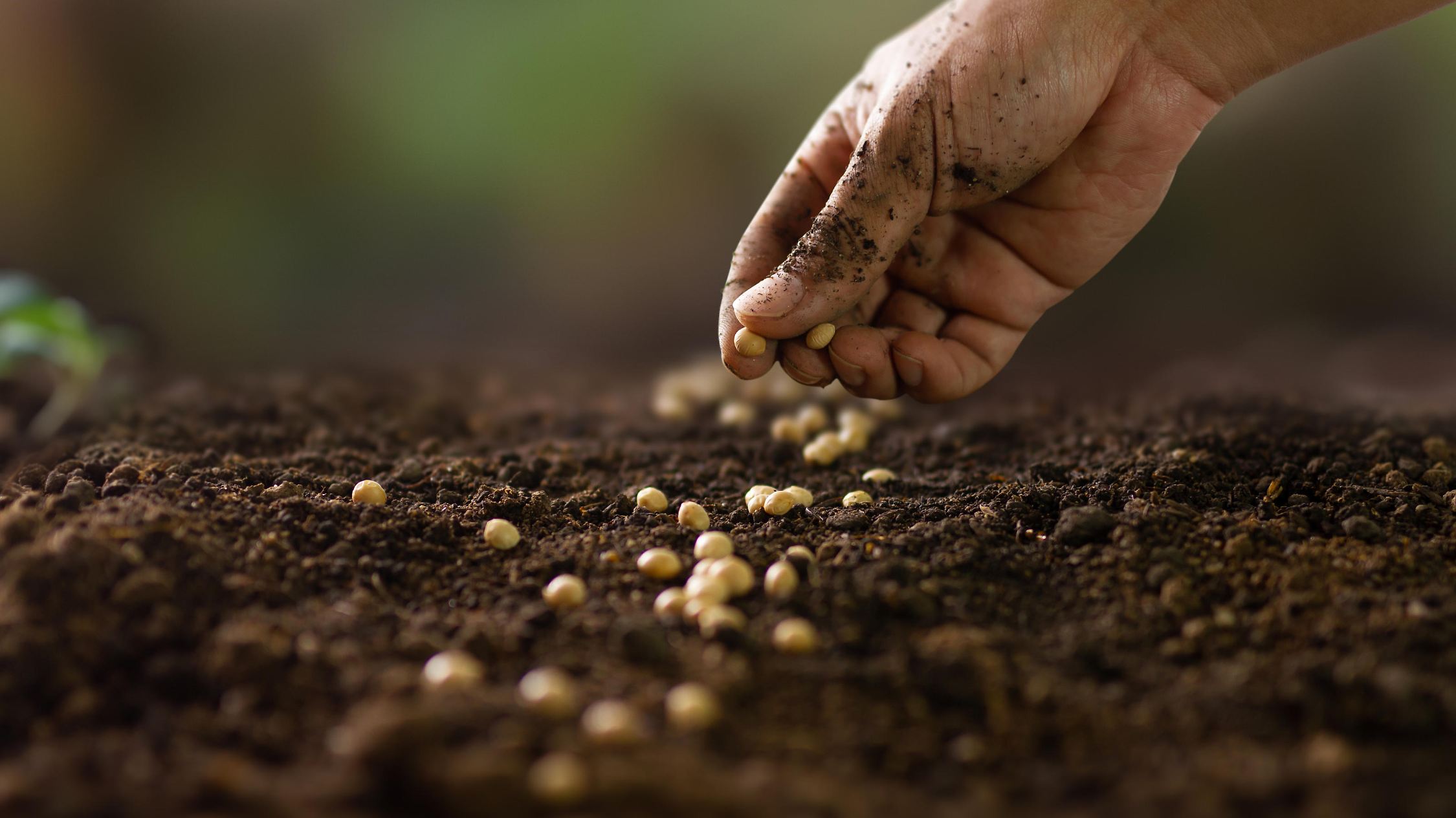 Pollenflug in Berlin heute | wetter.de