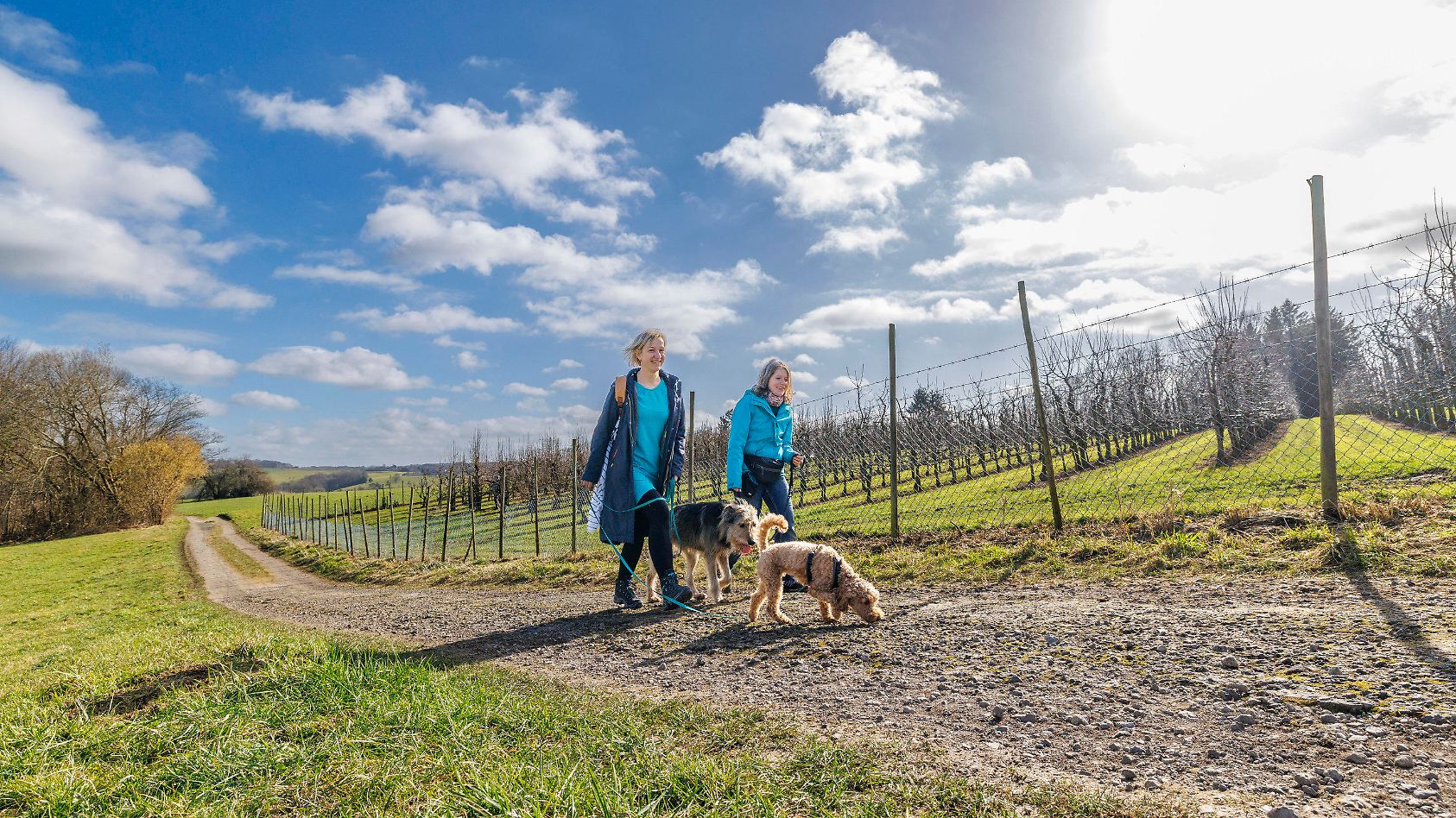 Wettertrend Frühling 2025: Deutschland nimmt rasant Kurs auf 20 Grad - ganz viel Sonne inklusive ...