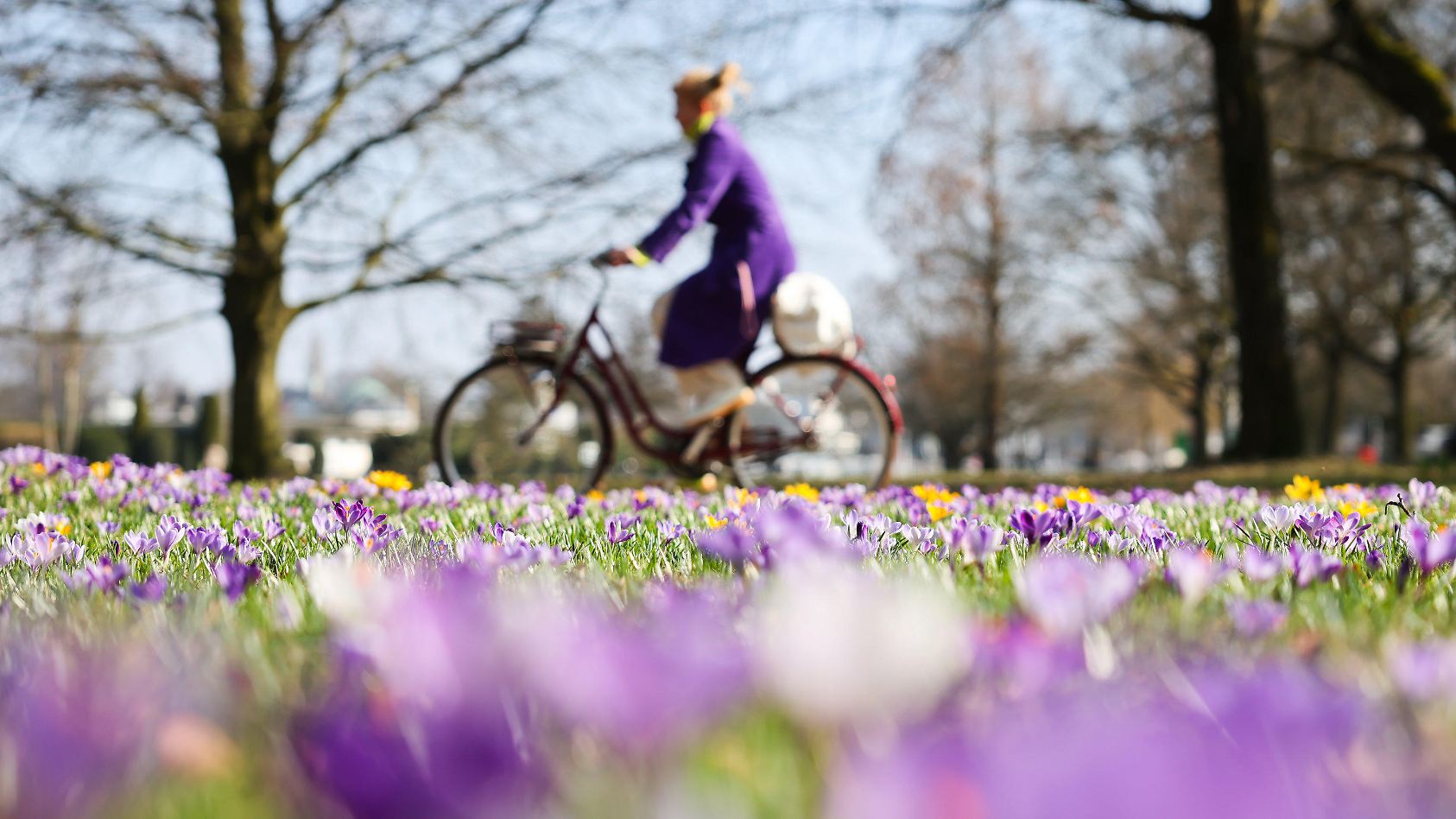 Wetter-Trend März aktuell: Aus dem Frost zu 20 Grad- wie lange bleibt ... Wetter-Trend März aktuell: Aus dem Frost zu 20 Grad- wie lange bleibt ...