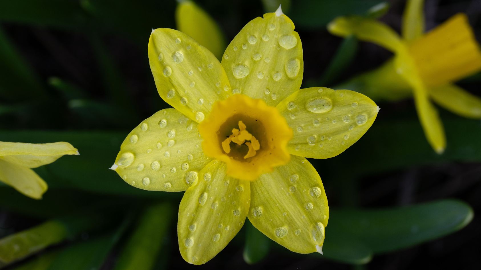 7-Tage-Wettertrend: Wann kommt Regen? Erste Anzeichen für Änderung der Wetterlage | wetter.de