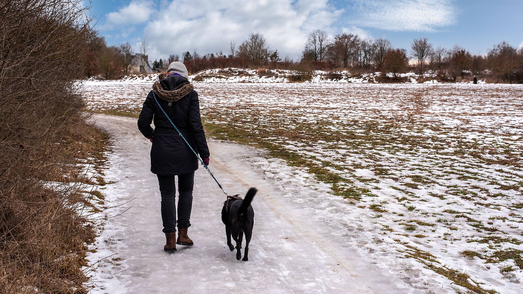 Tagesausflüge mit Hund im Winter – sichere Ziele für entspannte Touren ...