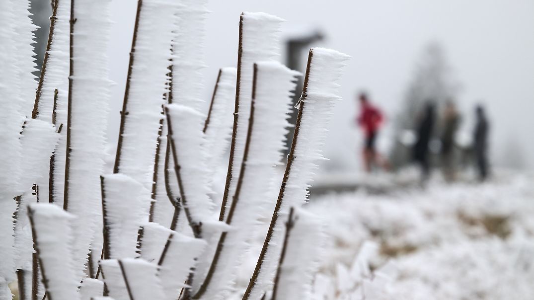 Wetter Kall heute ☀ Vorhersage 14 - 21 Tage | wetter.de