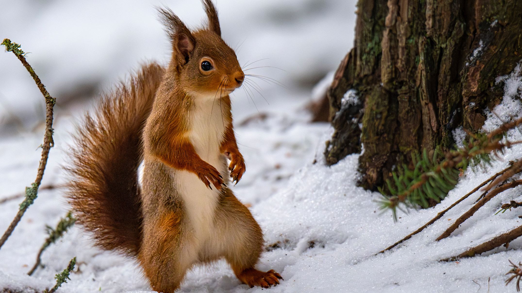 Wetter Neutraubling heute ☀ Vorhersage 14 - 21 Tage | wetter.de