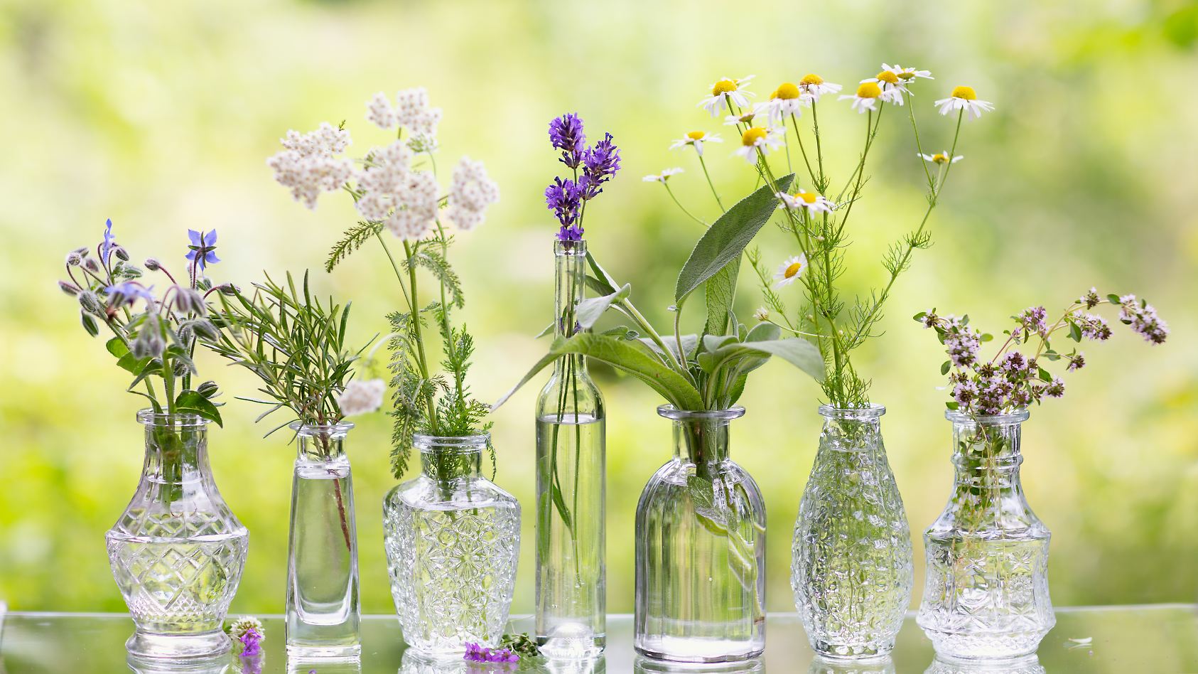 Unkraut im Garten loswerden? Warum? Diese Pflanzen sind essbar und ...