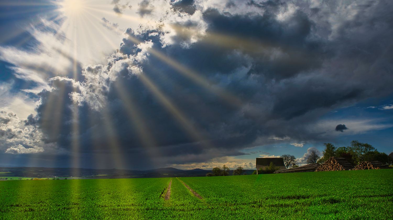 Wetterberichte für Deutschland | wetter.de