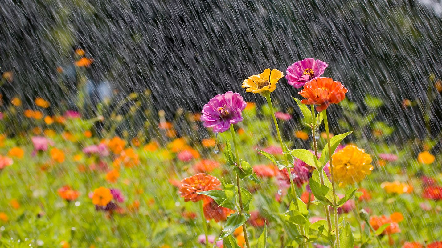 Wetter Dettenheim heute ☀ Vorhersage 14 - 21 Tage | wetter.de