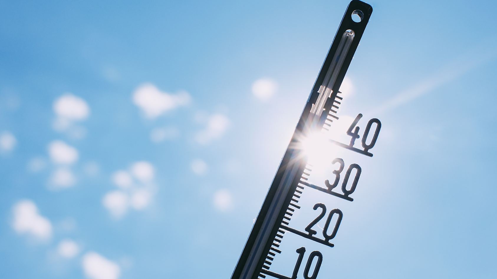 40-Grad-Marke in Sicht: Deutschland-Sommer vor Hitzerekord am 30. Juni ...