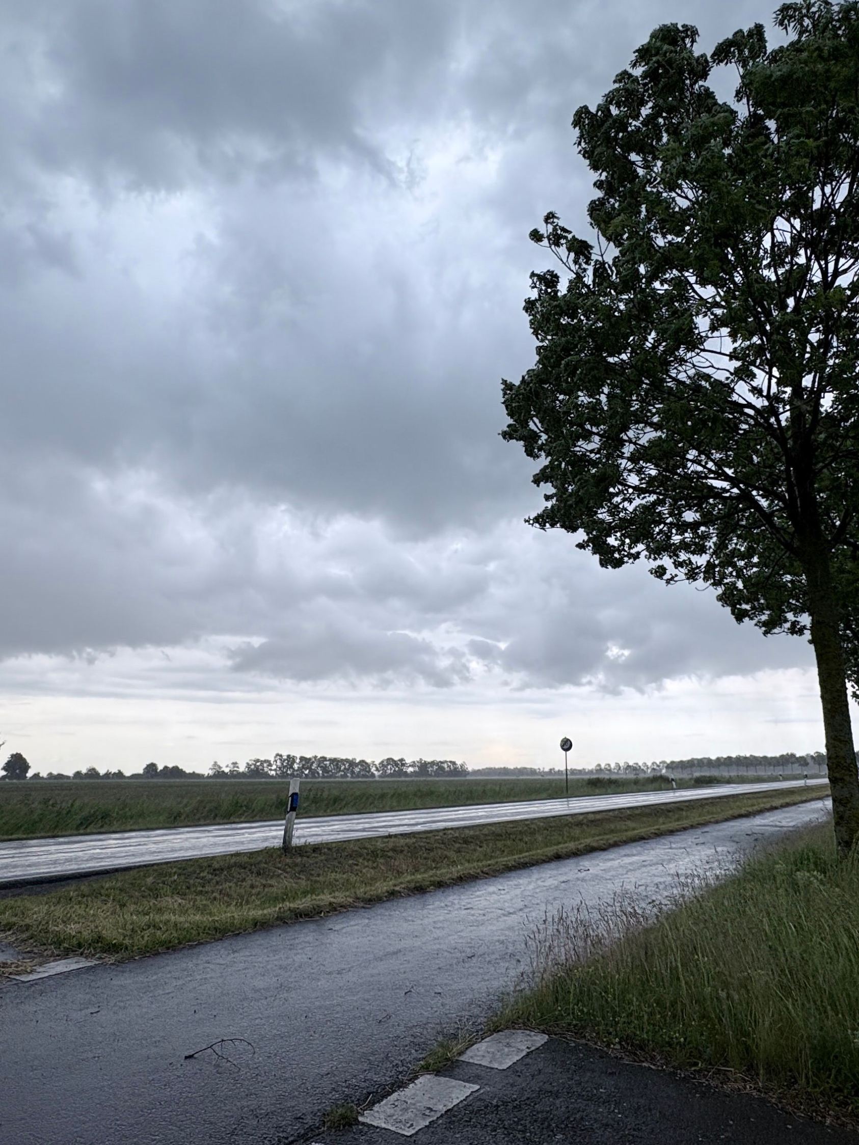 Wetter Bedheim heute ☀ Vorhersage 14 - 21 Tage | wetter.de