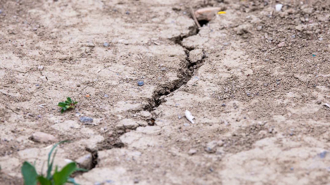 Bokep indo baru bocil she came to my pad at the appointed