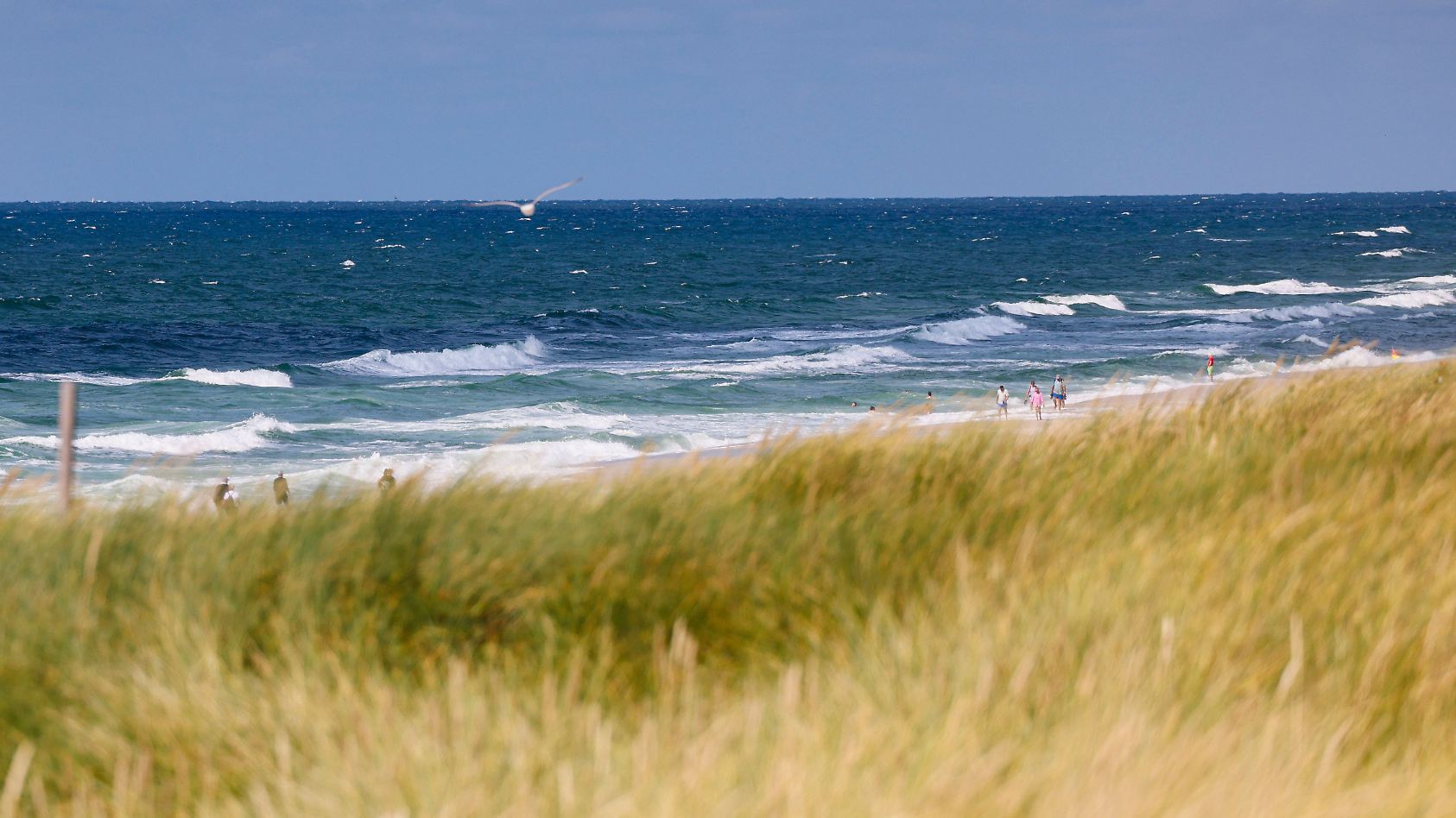 Wetter Danemark Im Juli