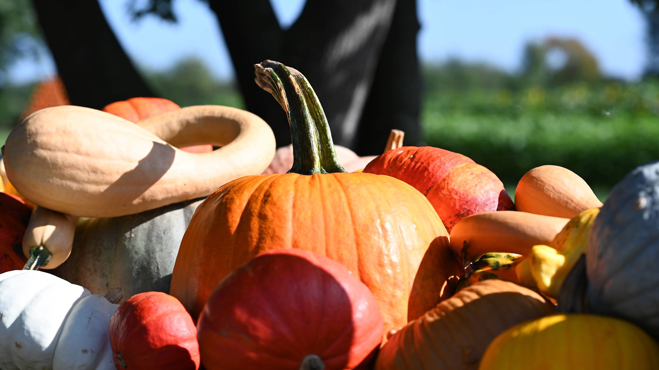 Wetter DWD - Niederlassung Hamburg Sasel heute ☀ Vorhersage 14 - 21 ...