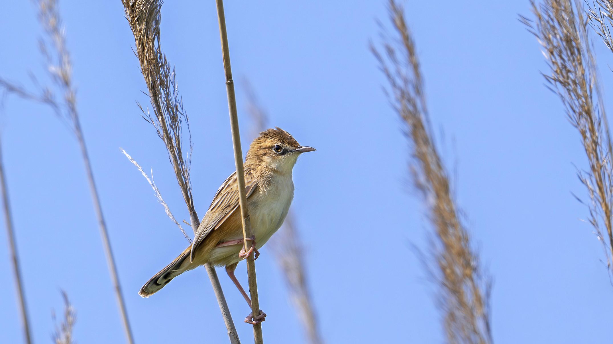 Wetter Neustadt (Wied) heute ☀ Vorhersage 14 - 21 Tage | wetter.de