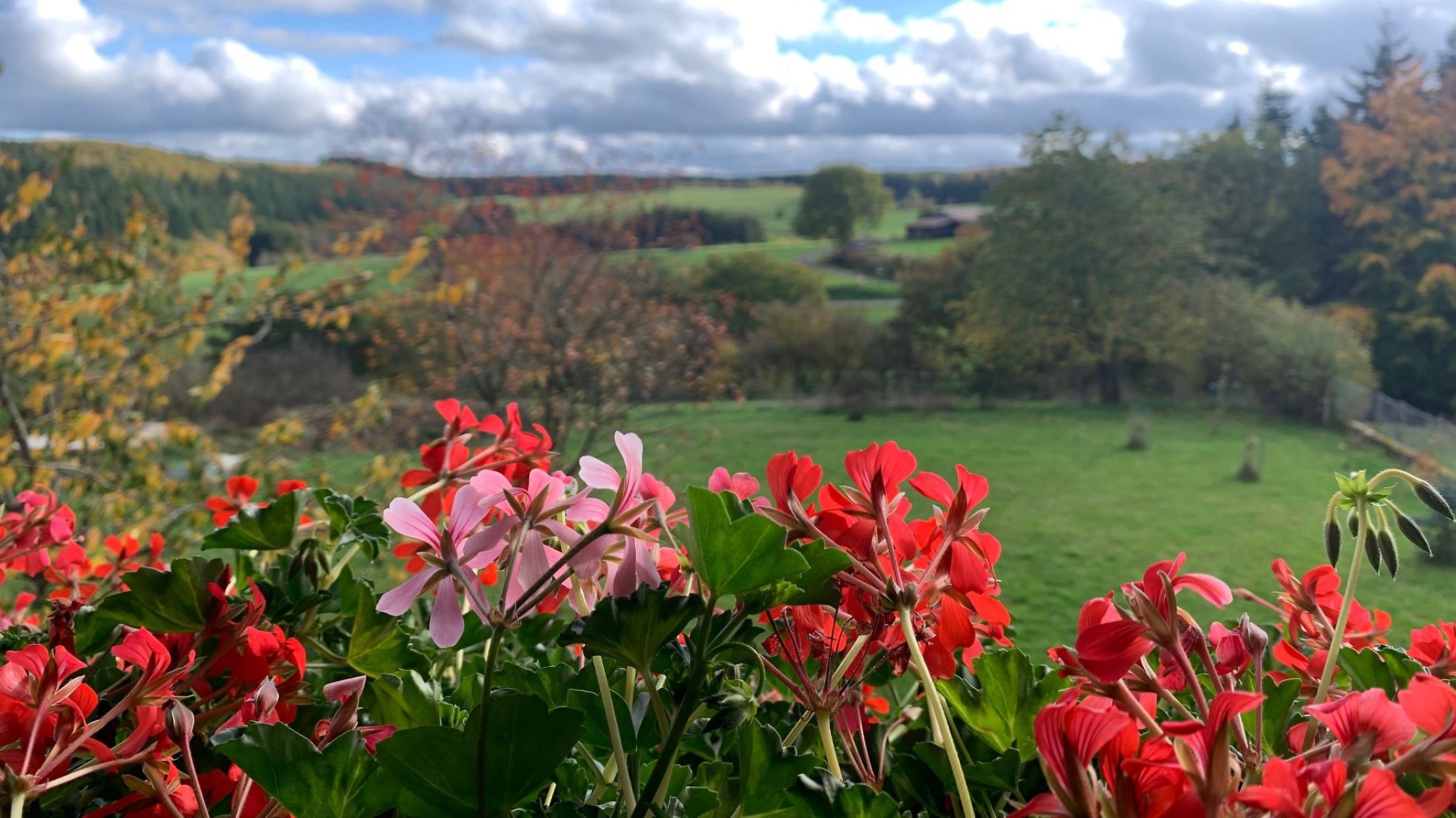 Wetter Kleinwalsertal heute ☀ Vorhersage 14 - 21 Tage | wetter.de