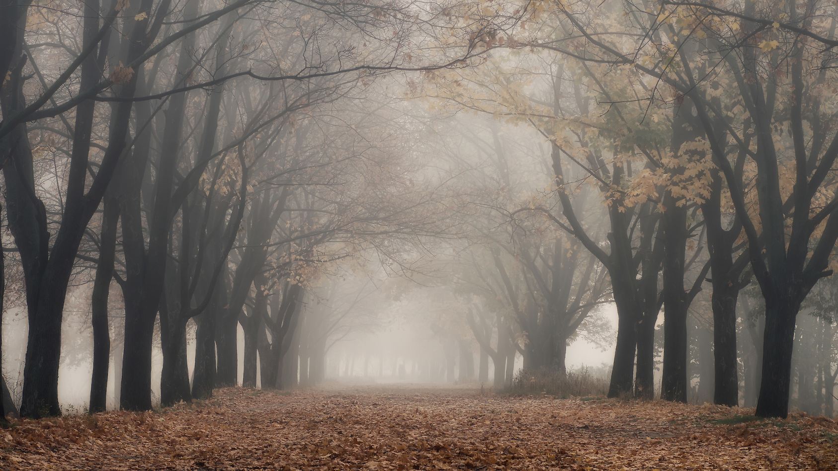 Droht Deutschland ein Temperatursturz? So kalt und eisig könnte der ...