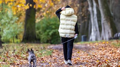 Wetter Neuss I heute ☀ Vorhersage 14 - 21 Tage | wetter.de