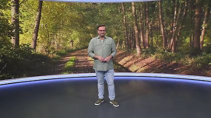 Wetter Reutershagen I heute ☀ Vorhersage 14 - 21 Tage | wetter.de