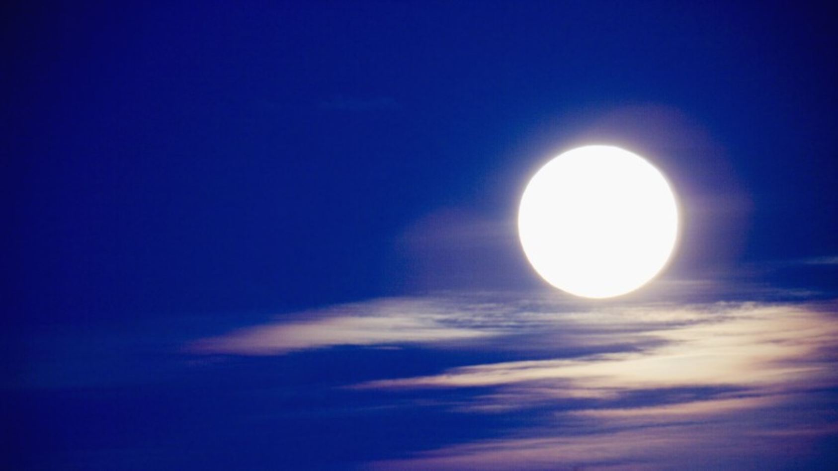 Nebel- oder doch lieber Bibermond? Vollmond im November mit vielen ...