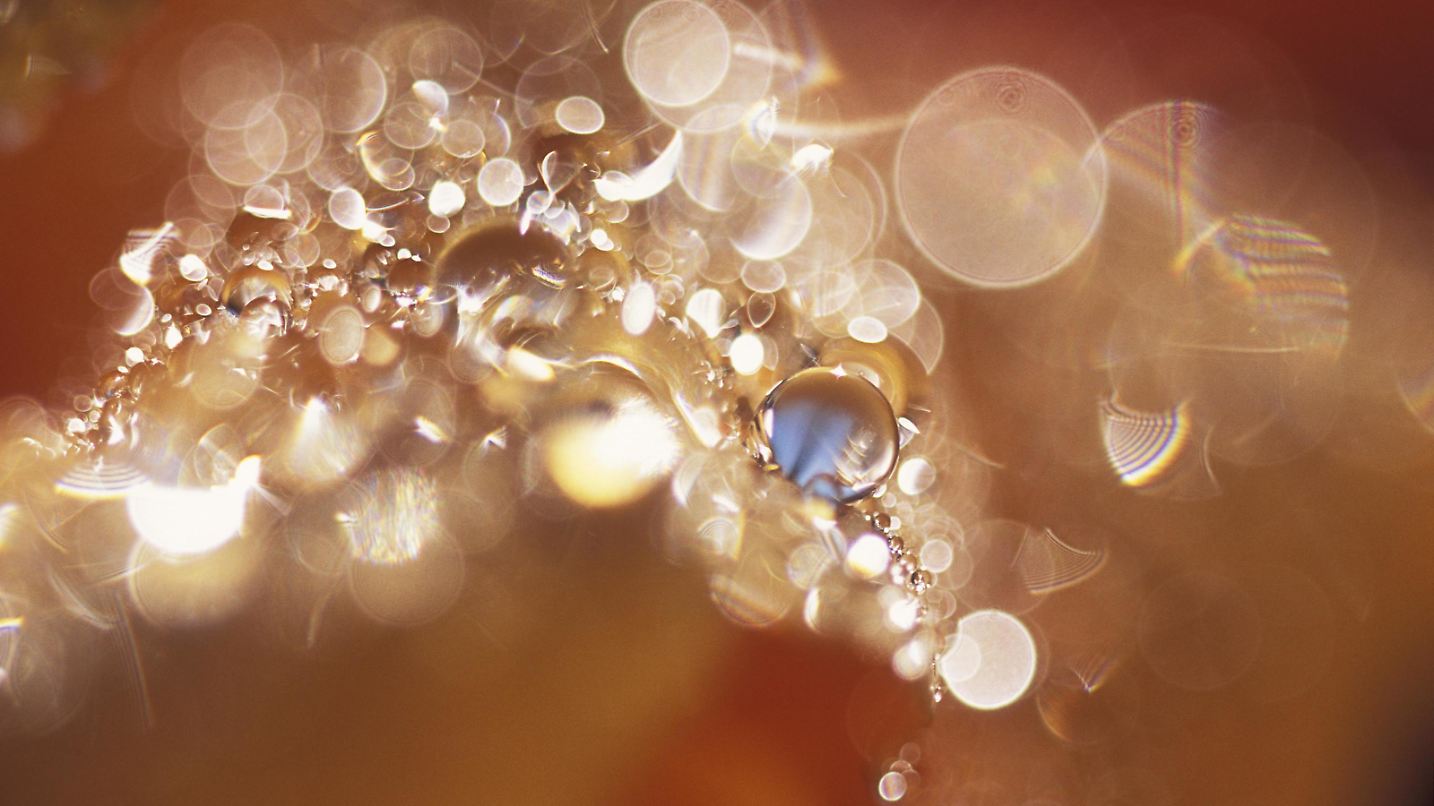 Wetterlexikon: Relative Feuchte | wetter.de