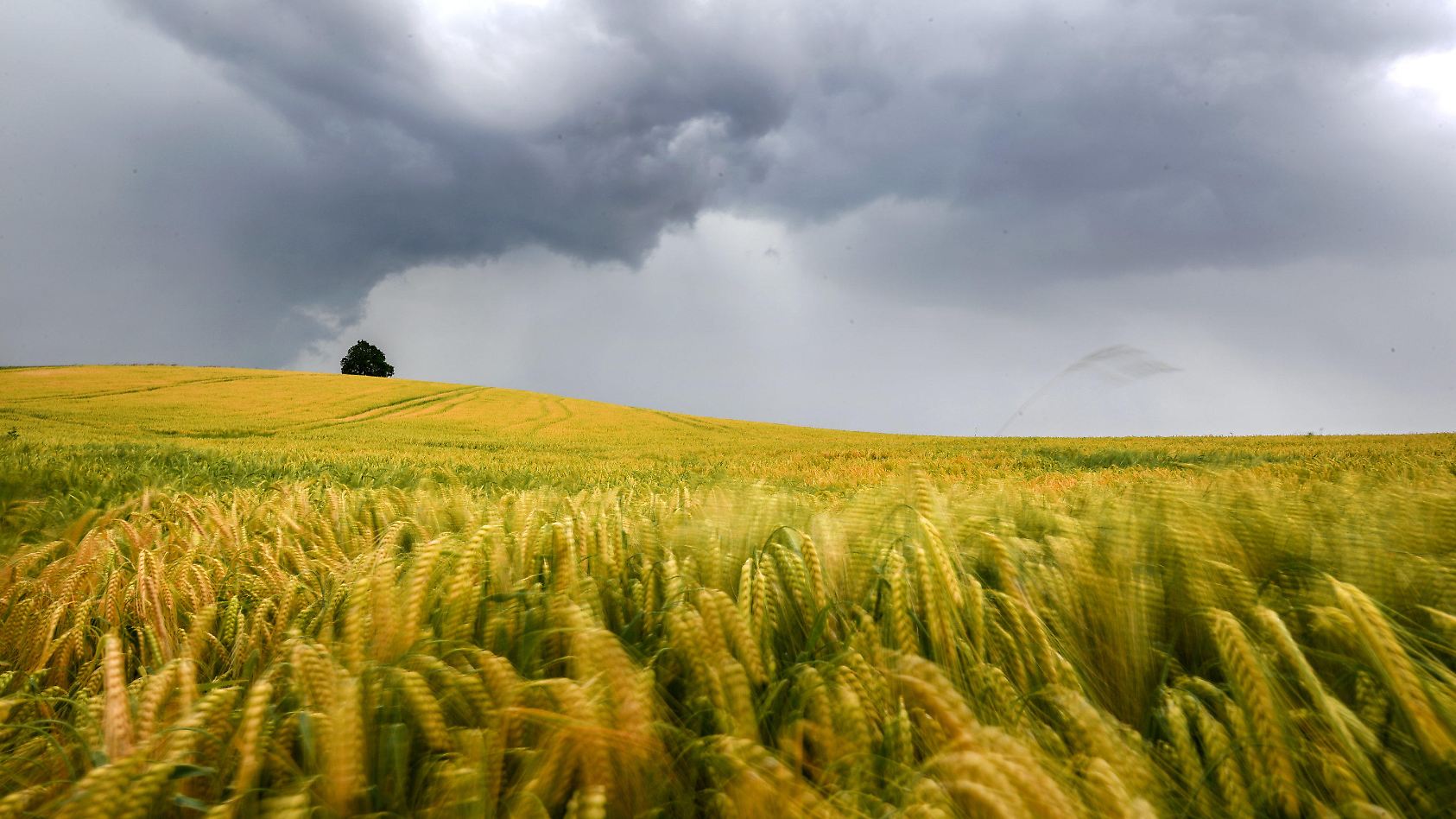 Wetterlexikon: Entrainment | wetter.de