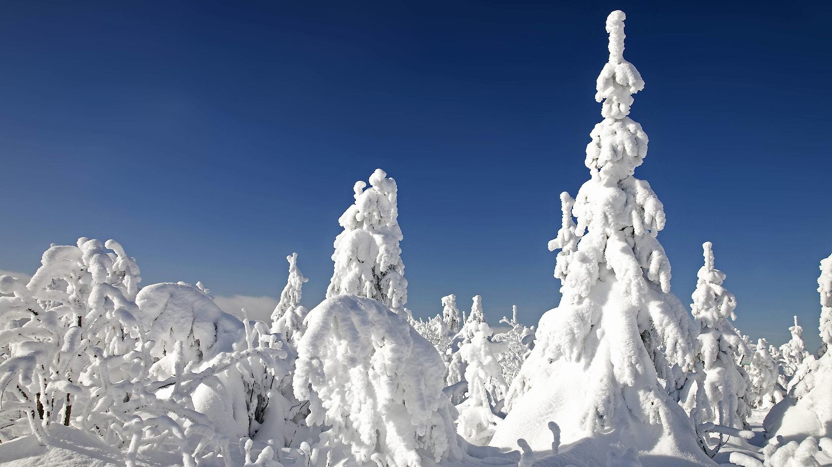 Klima-Update: Aktuelle Winter-Trends 2022/23 - Kalt oder mild ...